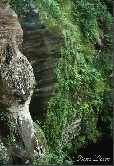 Nature's Scenic View: Rock House State Park